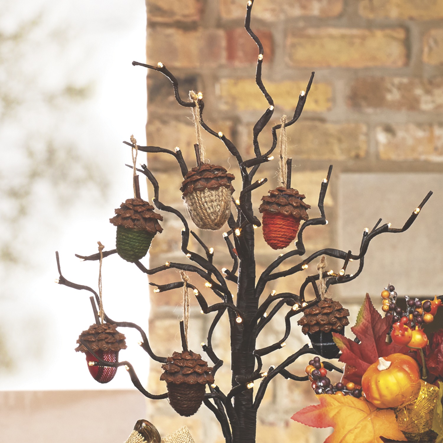 Set of 6 Mixed Acorns | Seventh Avenue