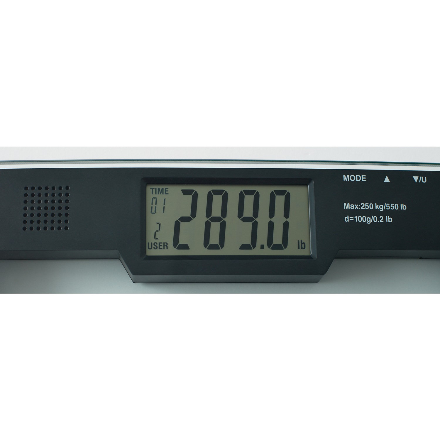 Extra-Wide Talking Scale | Seventh Avenue